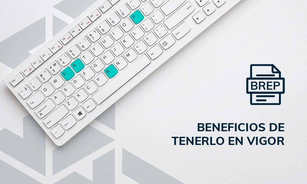 ¿BREP ó no BREP, esa es la cuestión? | Zimaltec Soluciones